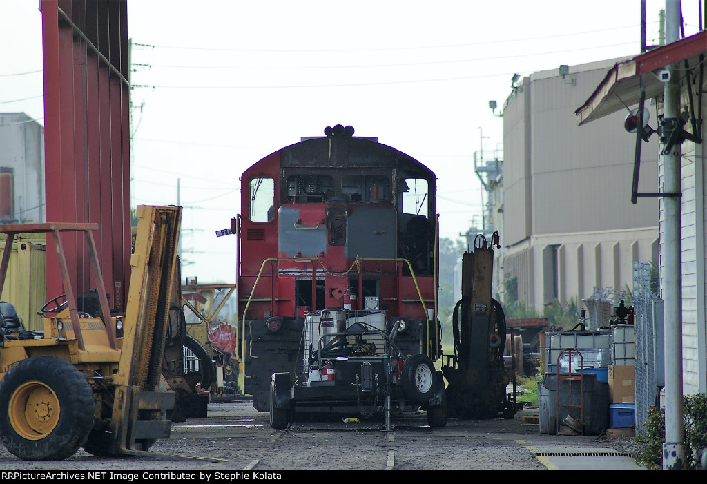 FCEN 60 WITH NEW SHORT HOOD